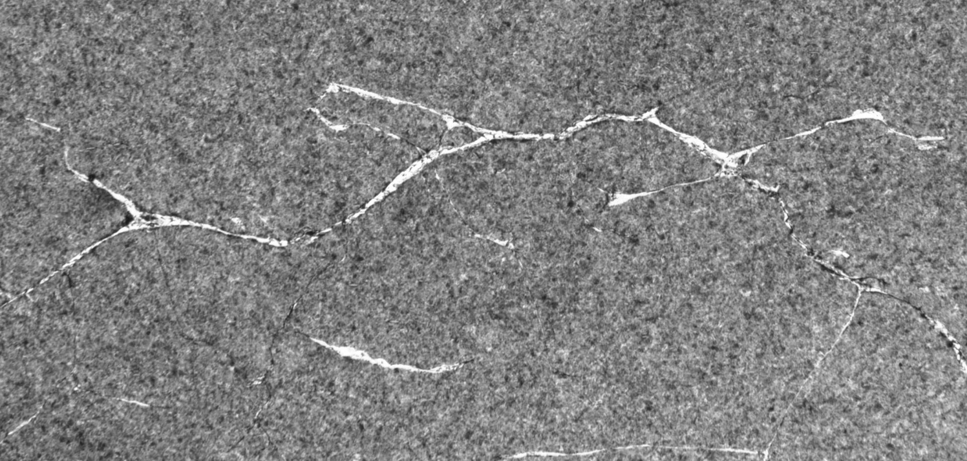White etching cracks | Evolution Online