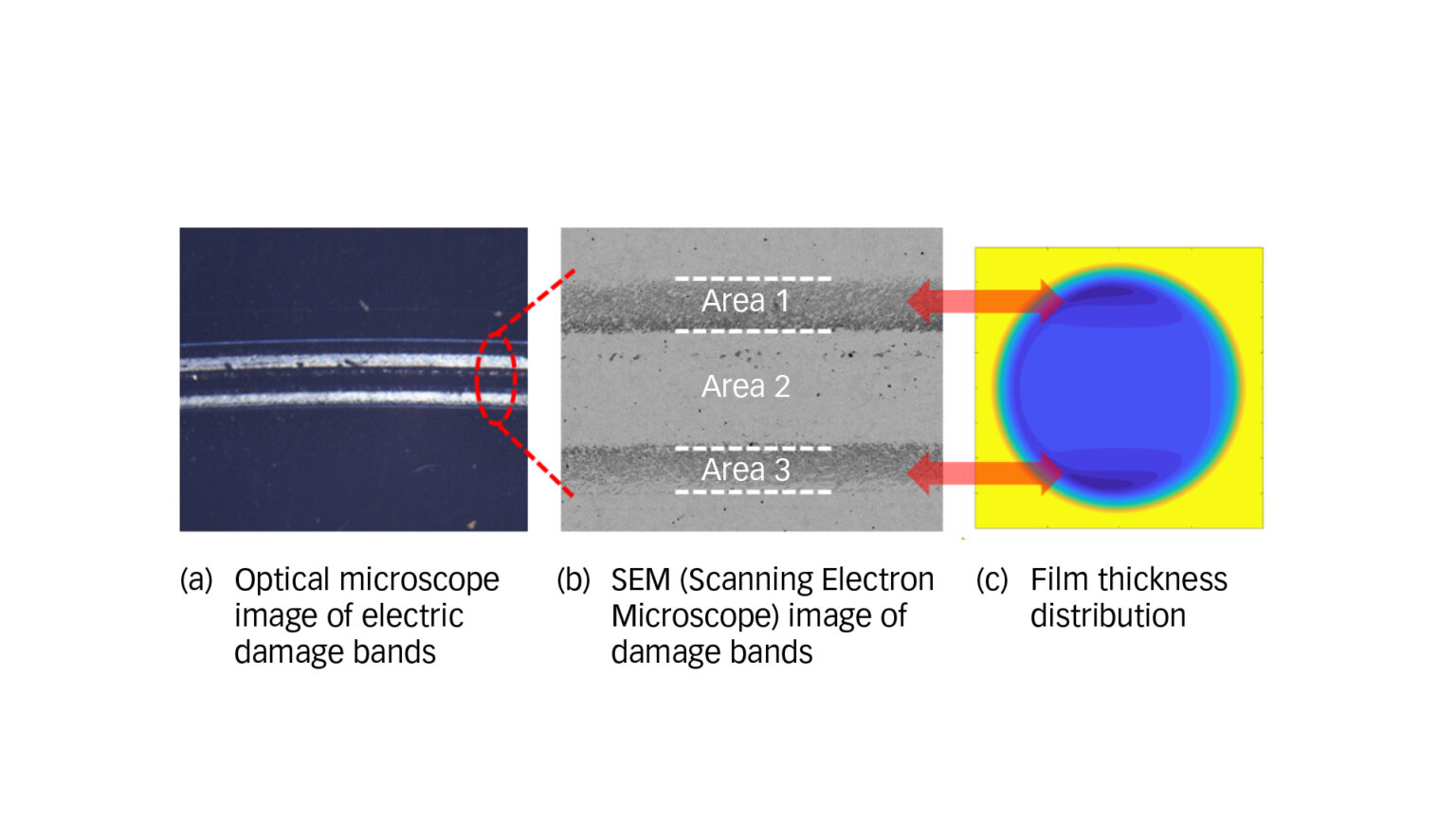 Understanding and Mitigating Electric Discharge Damage in Electric ...